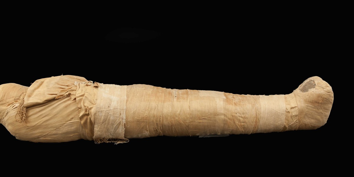 Conservation of a Mummy of an Unknown Man | PAVM